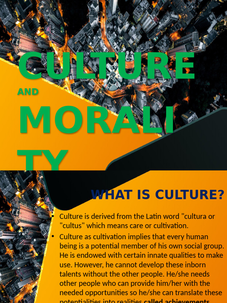 Culture's Role in Shaping Morality | PDF | Morality | Society