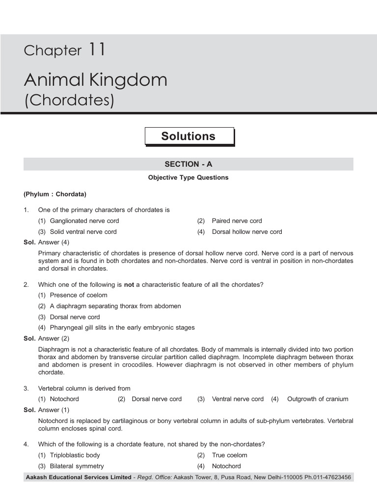 Animal Kingdom (Chordates) | PDF | Vertebrates | Amphibian