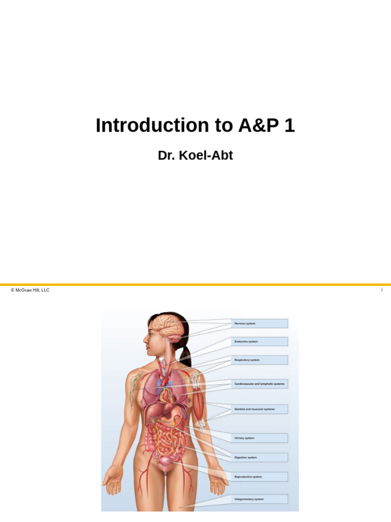 Introduction To A&p1 | PDF | Human Body | Medical Imaging
