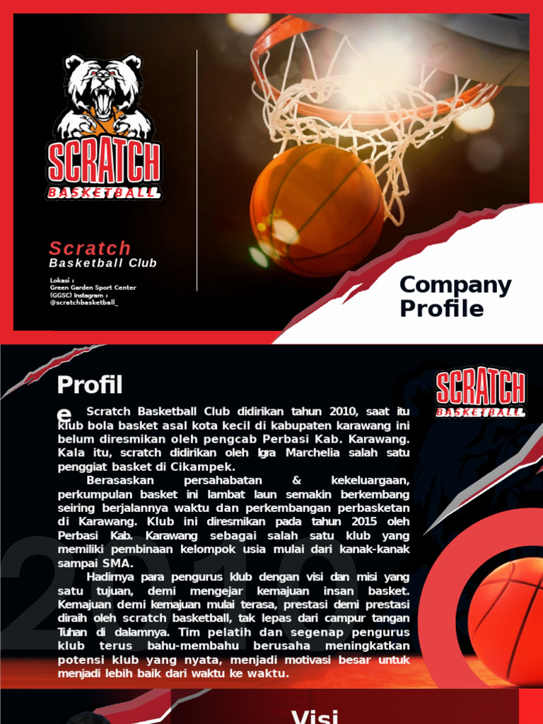 Company Profile Scratch | PDF