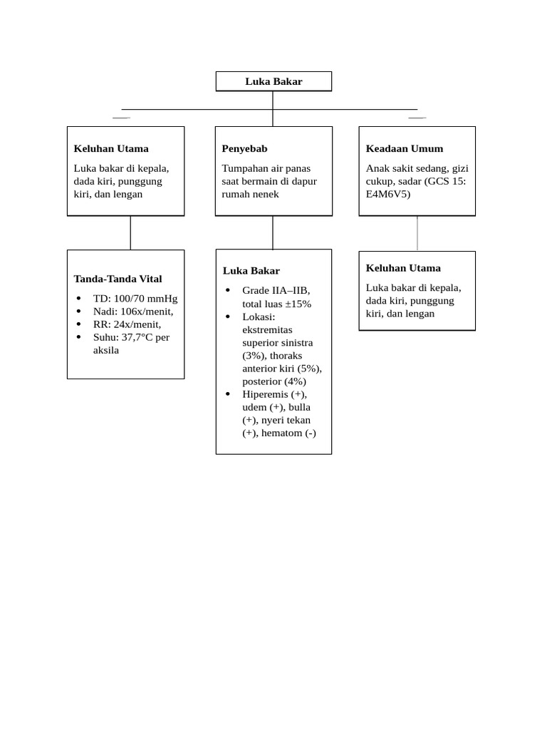 Step 4 Luka Bakar | PDF