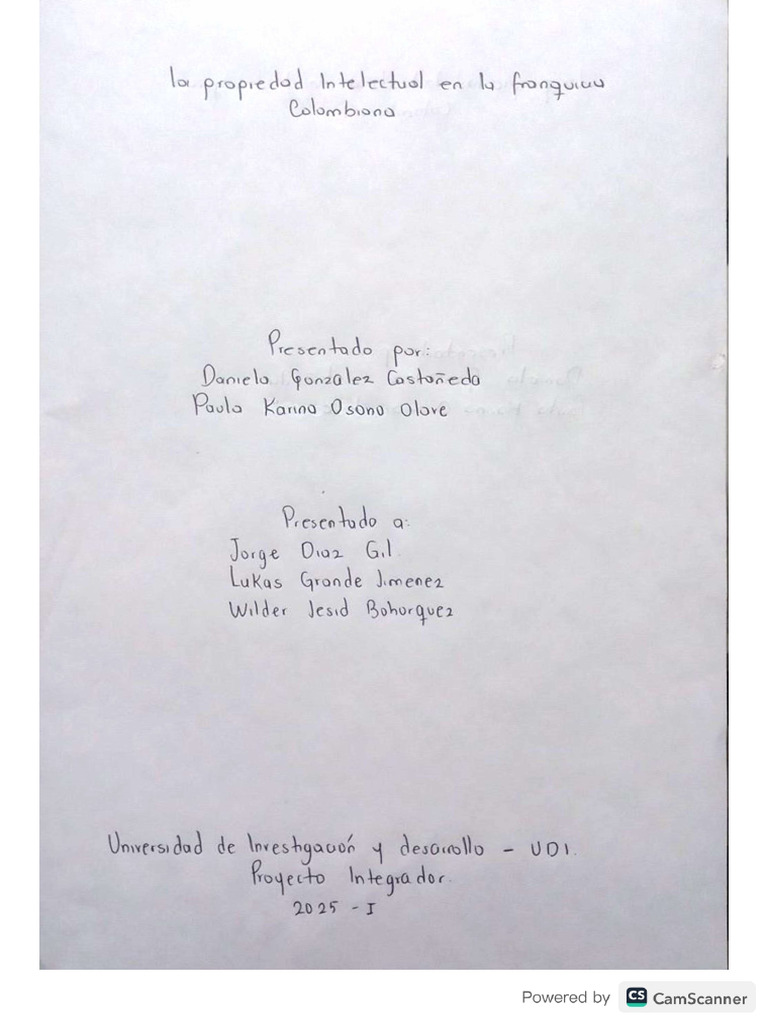 Entrega II - Proyecto Integrador | PDF