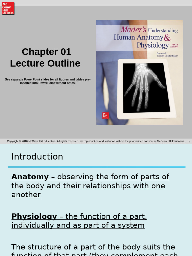 Anatomy and Physiology Overview | PDF | Human Body | Homeostasis