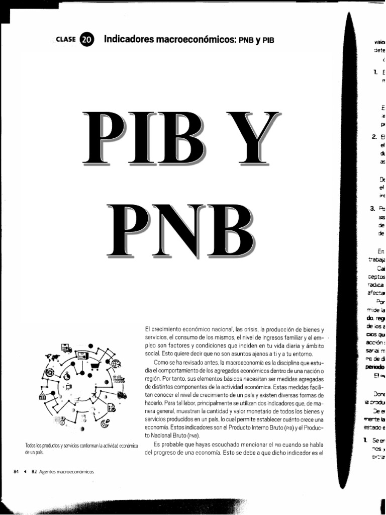 2P PIB y PNB | PDF