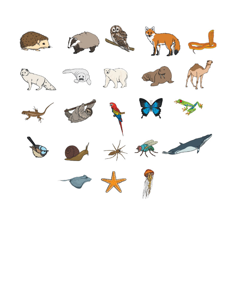 Matching Activity Cards | PDF