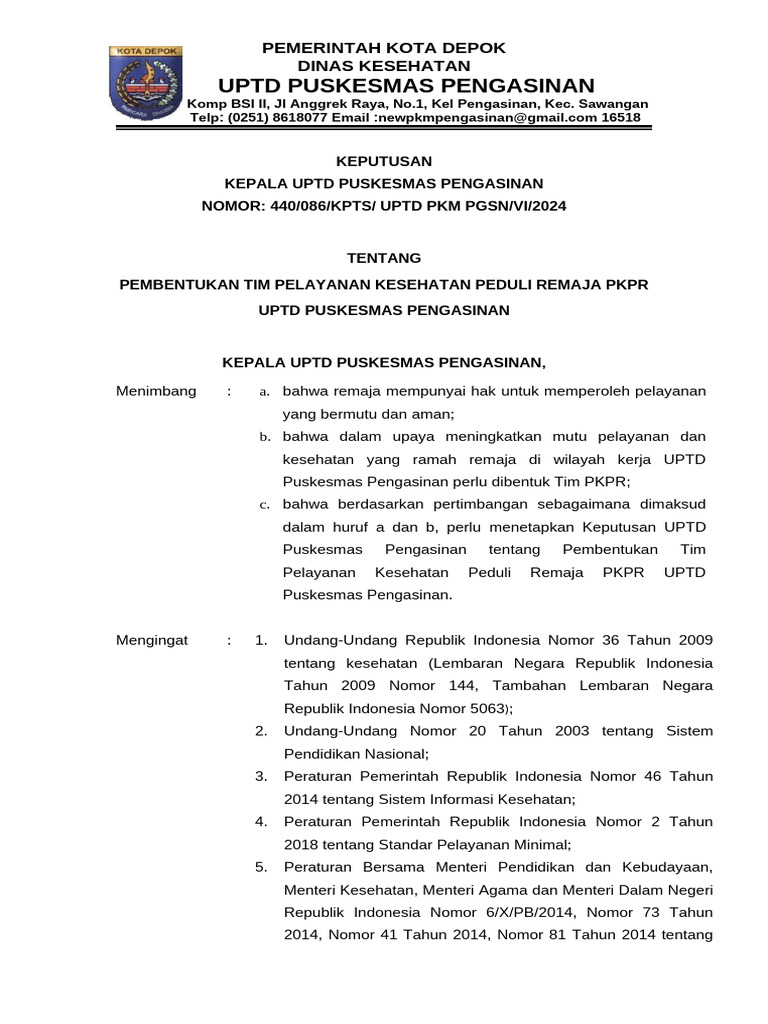 SK 086 Pembentukan Tim Pelayanan Kesehatan Peduli Remaja PKPR | PDF