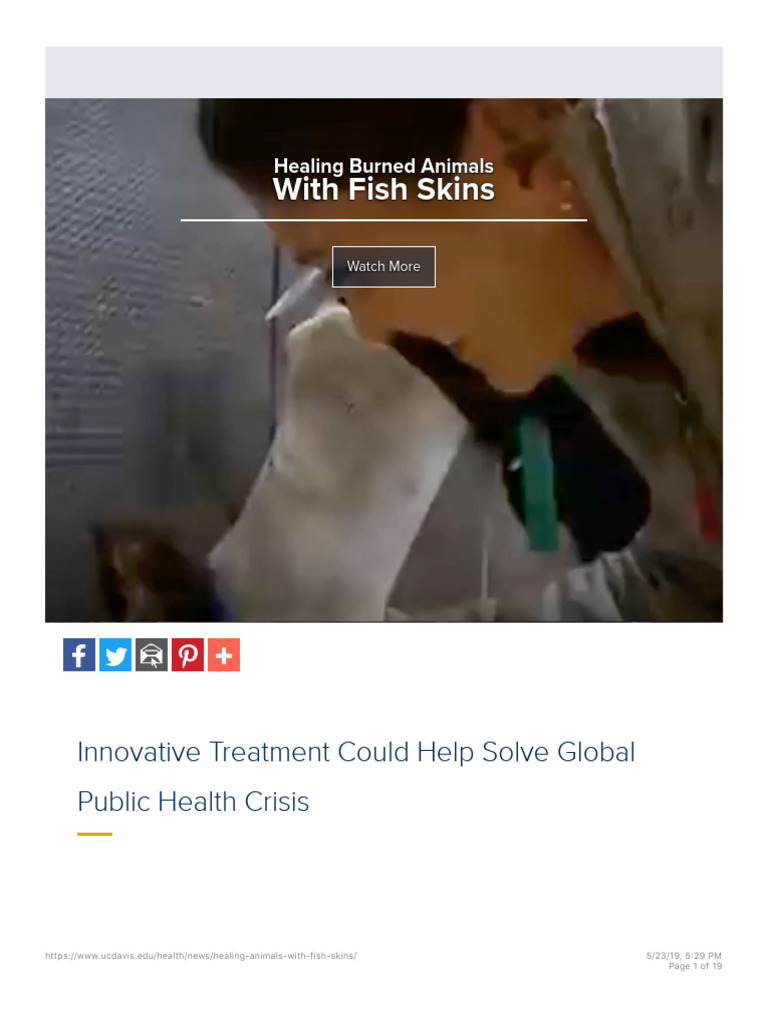 Healing Animal Burns with Tilapia Skins | PDF | Burn | Wound