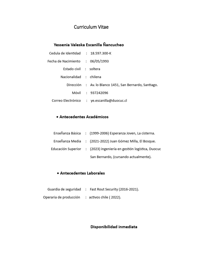 Curriculum Vitae 2024 | PDF