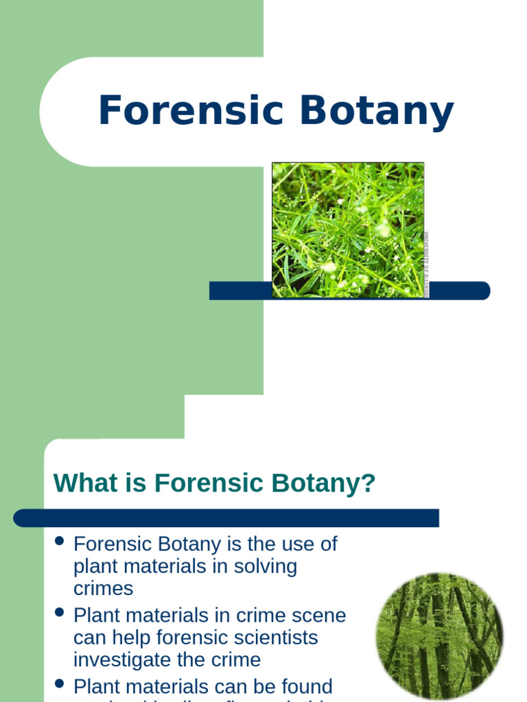 Forensic Botany in Crime Scene Analysis | PDF | Forensic Science ...