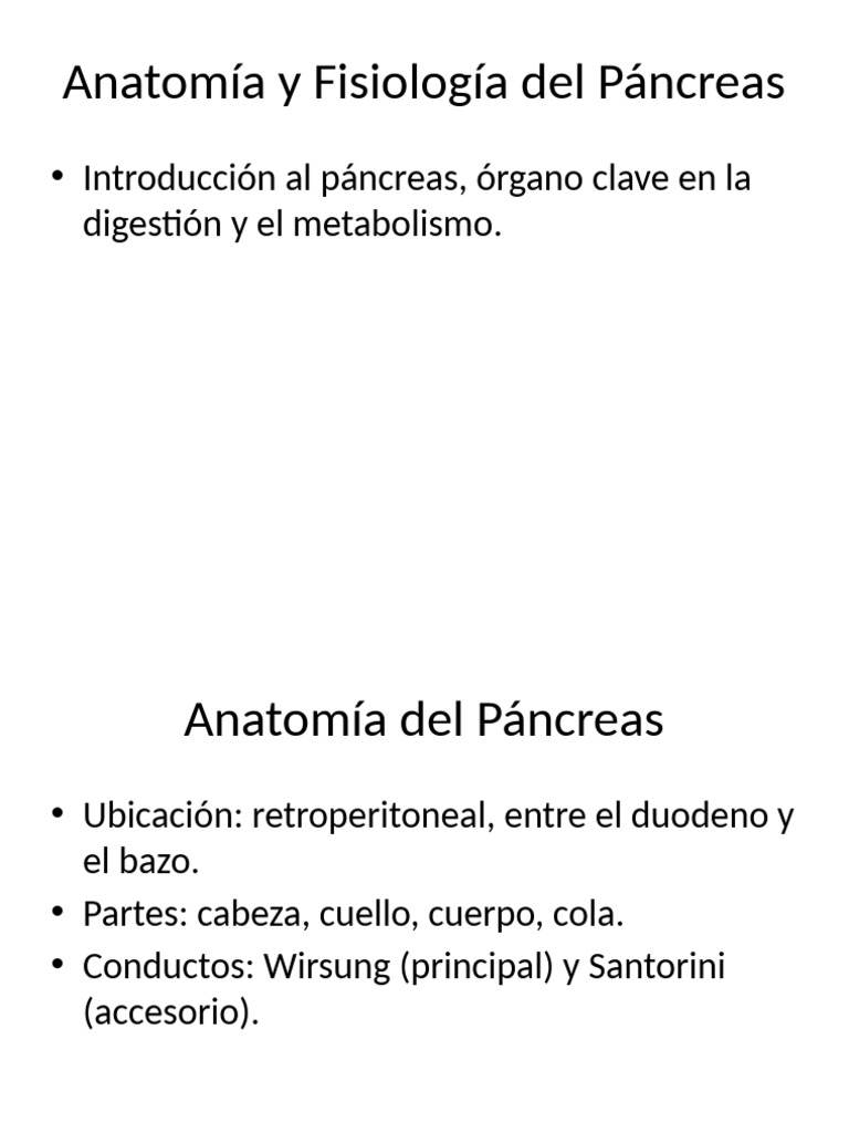 Anatomia Fisiologia Pancreas | PDF