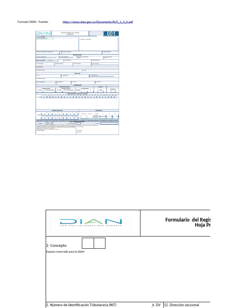 Formato RUT | PDF | Bogotá