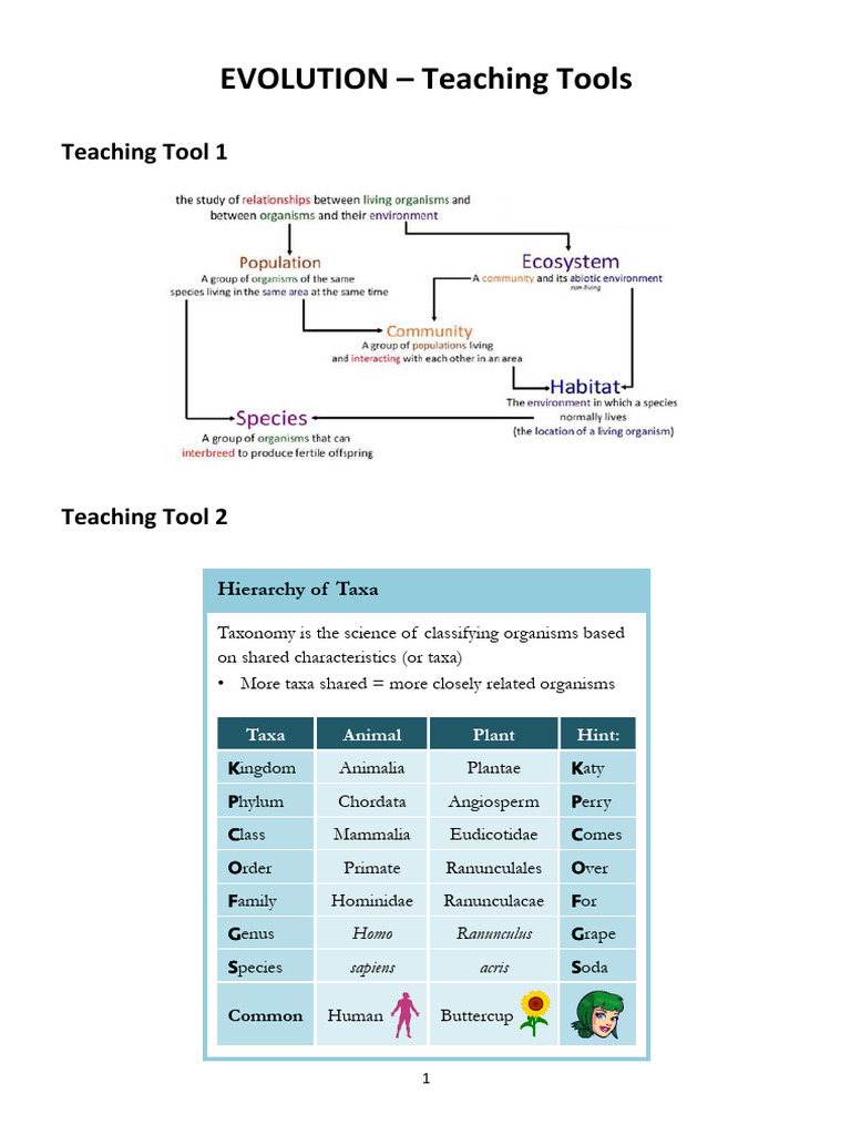 03 Evolution Teaching Tools | PDF | Natural Selection | Biology