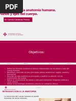 Términos de Lateralidad en Anatomía | PDF | Términos anatómicos de ...