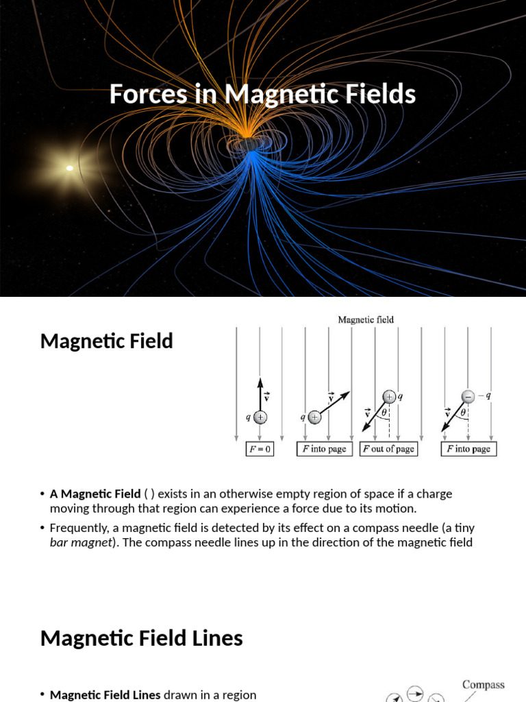 Understanding Magnetic Fields and Forces | PDF | Magnetic Field | Magnetism