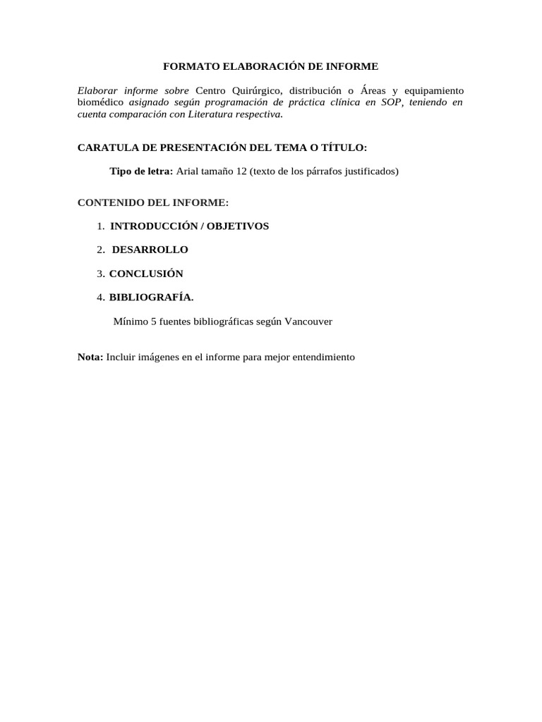 Formato Elaboración de Informe | PDF
