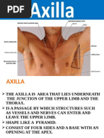 The Axilla Region - Borders - Contents - TeachMeAnatomy | PDF | Arm | Limbs (Anatomy)