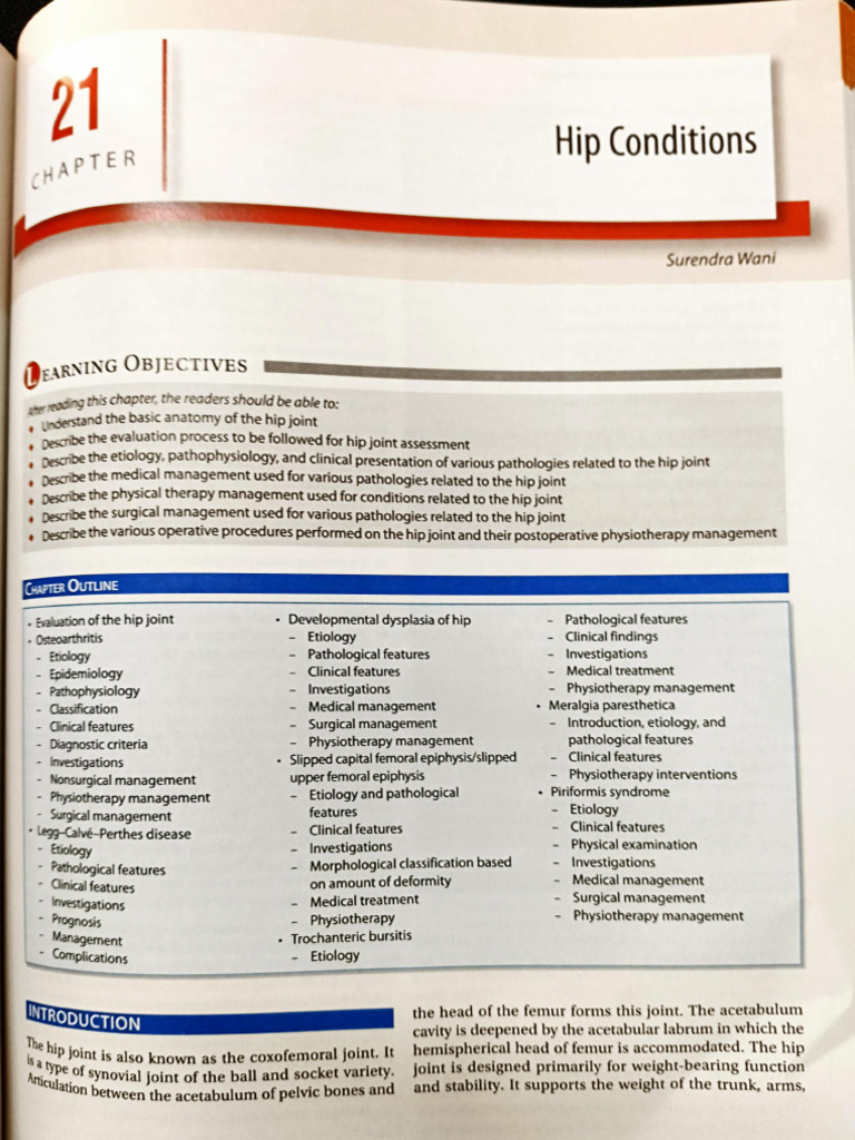 Understanding Hip Conditions and Management | PDF | Hip ...
