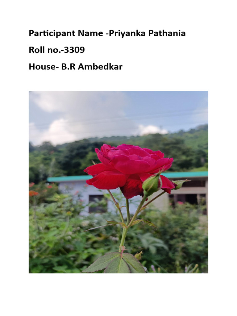 Photography- B.R. Ambedkar House, Roll no. 3309 (Priyanka Pathania) | PDF