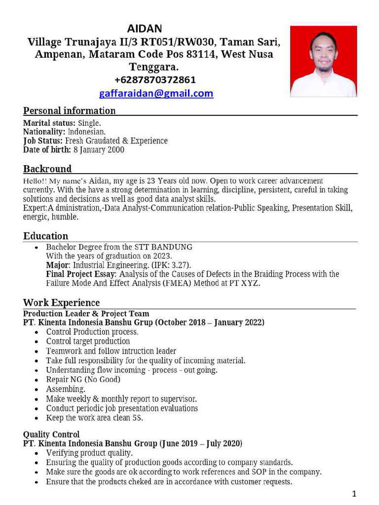 AIDAN - CV - 11zon | PDF