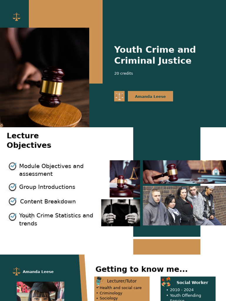 Youth Crime and Justice | PDF | Crimes | Crime & Violence