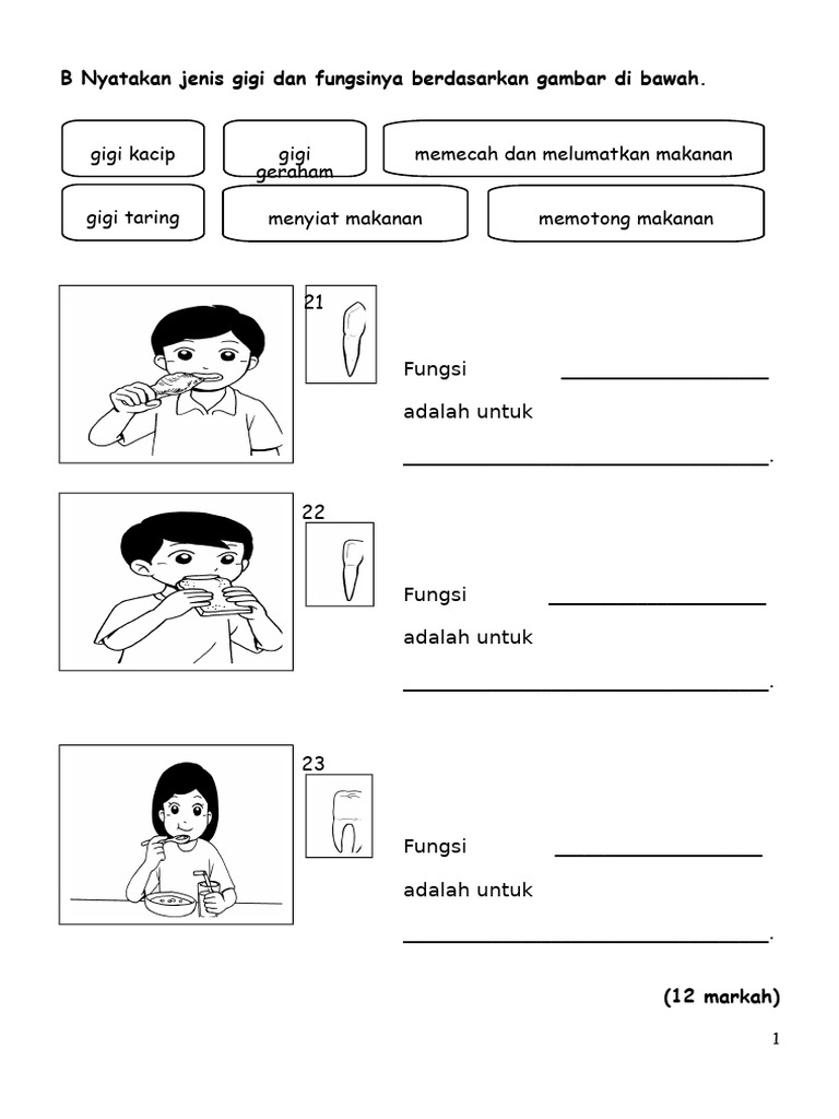 Latih Tubi Sains Tahun 3 M4 | PDF