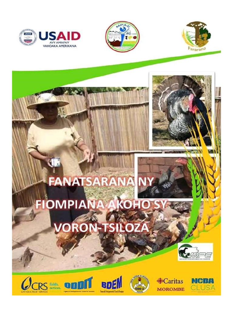 Akoho Sy Vorots | PDF