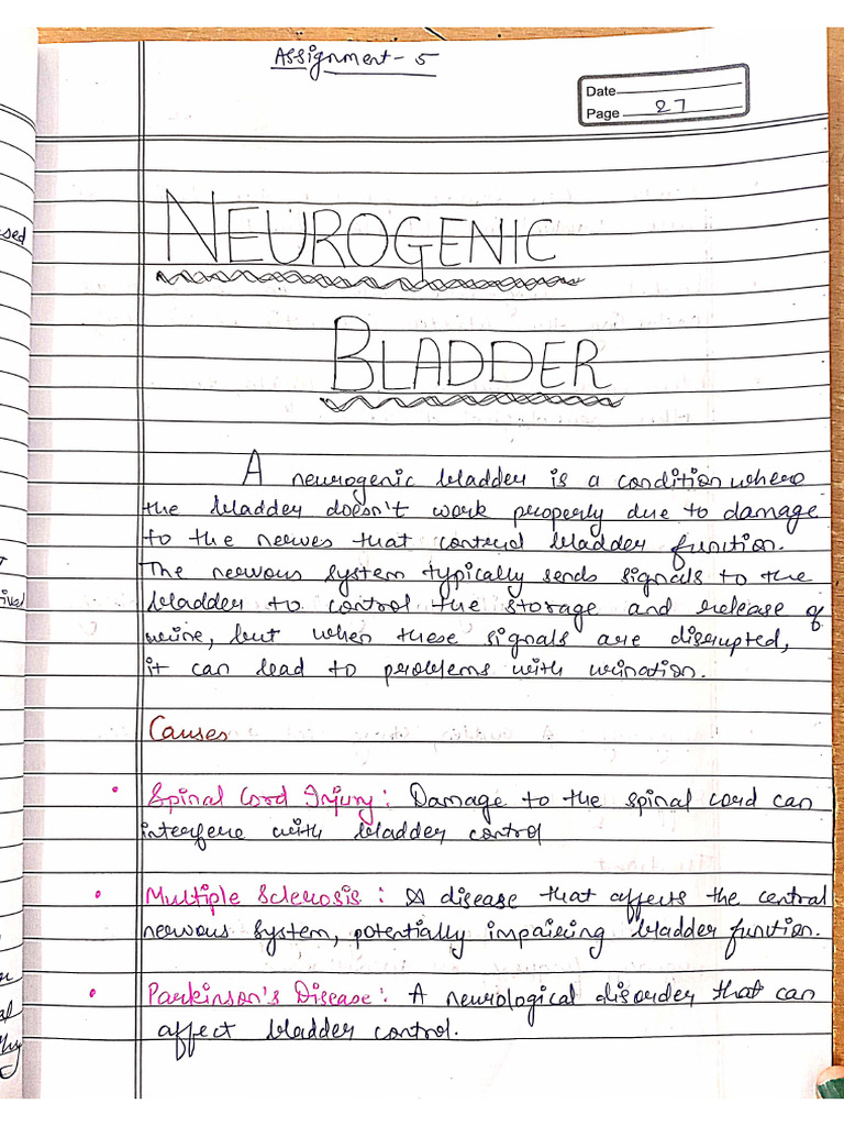 Neurogenic Bladder | PDF