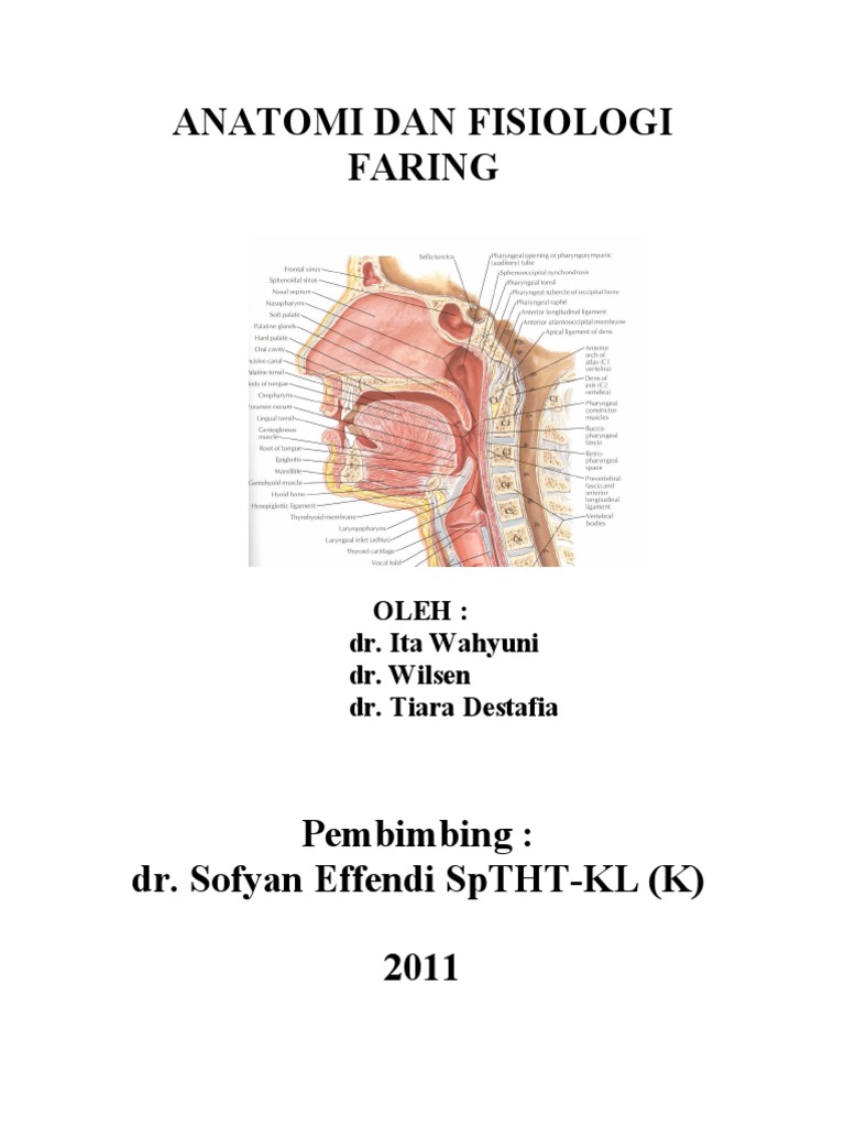 Anatomi Dan Fisiologi Faring | PDF