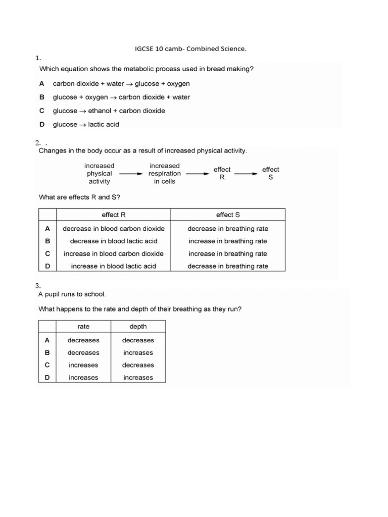 IGCSE 10 Camb | PDF