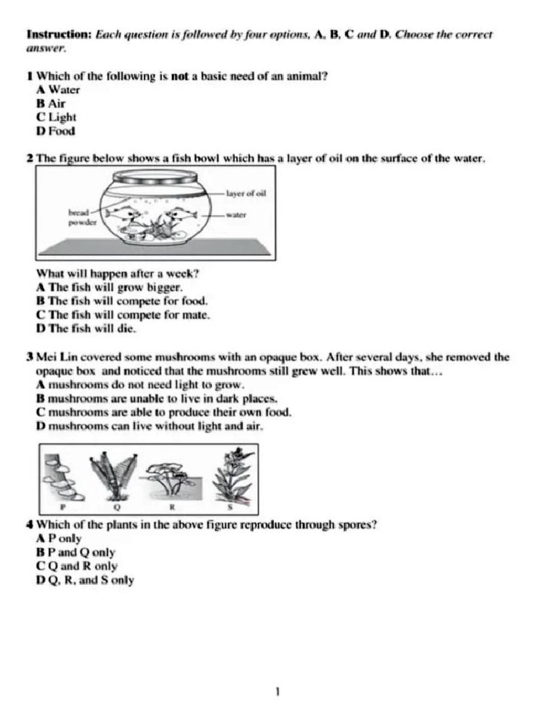 science ws grade 4 | PDF