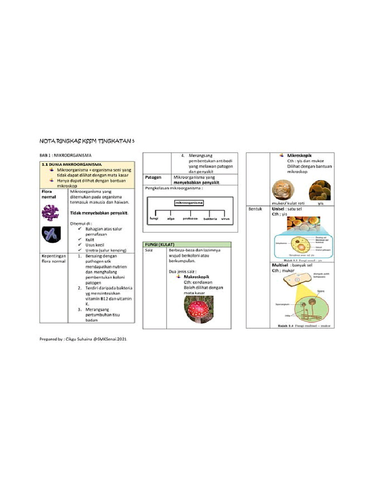 Sains Nota Ringkas (Tingkatan 5) | PDF