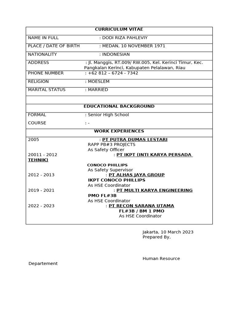 CV Safety Officer | PDF