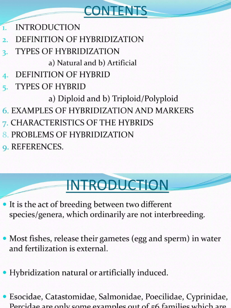 Hybridisation 2 | PDF
