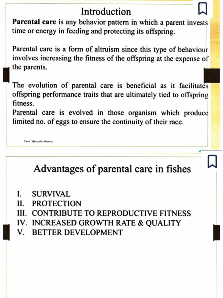 Parental Care in Fishes | PDF