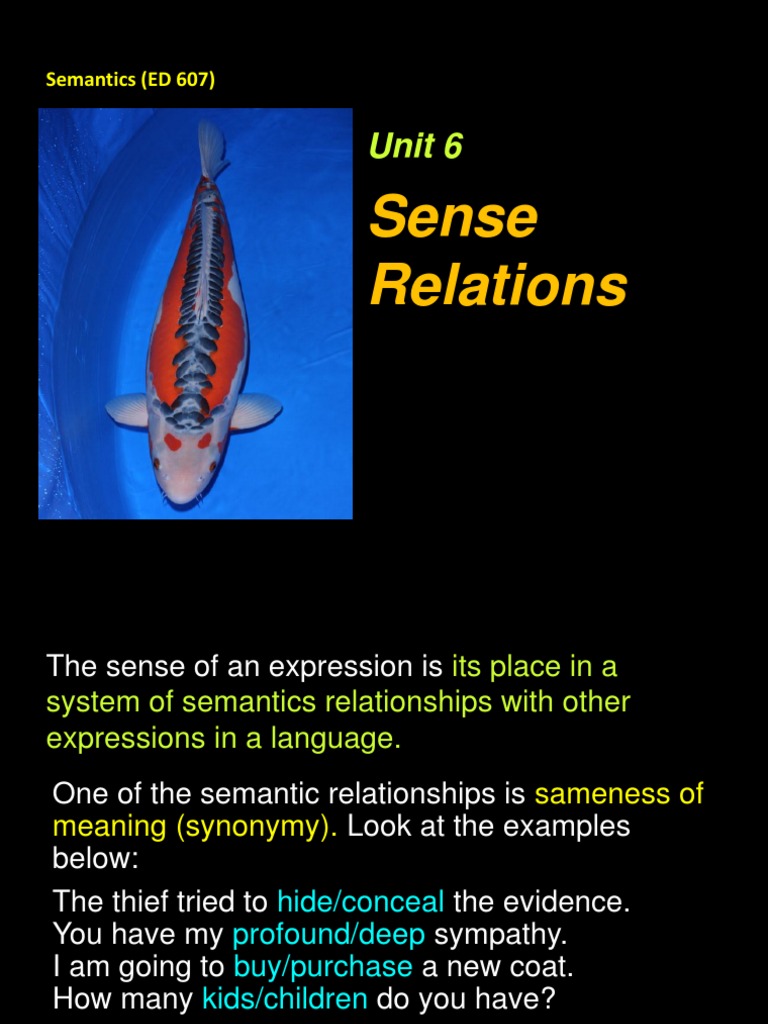 Chapter 6 (Sense Relations) | PDF | Semantics | Interpretation (Philosophy)