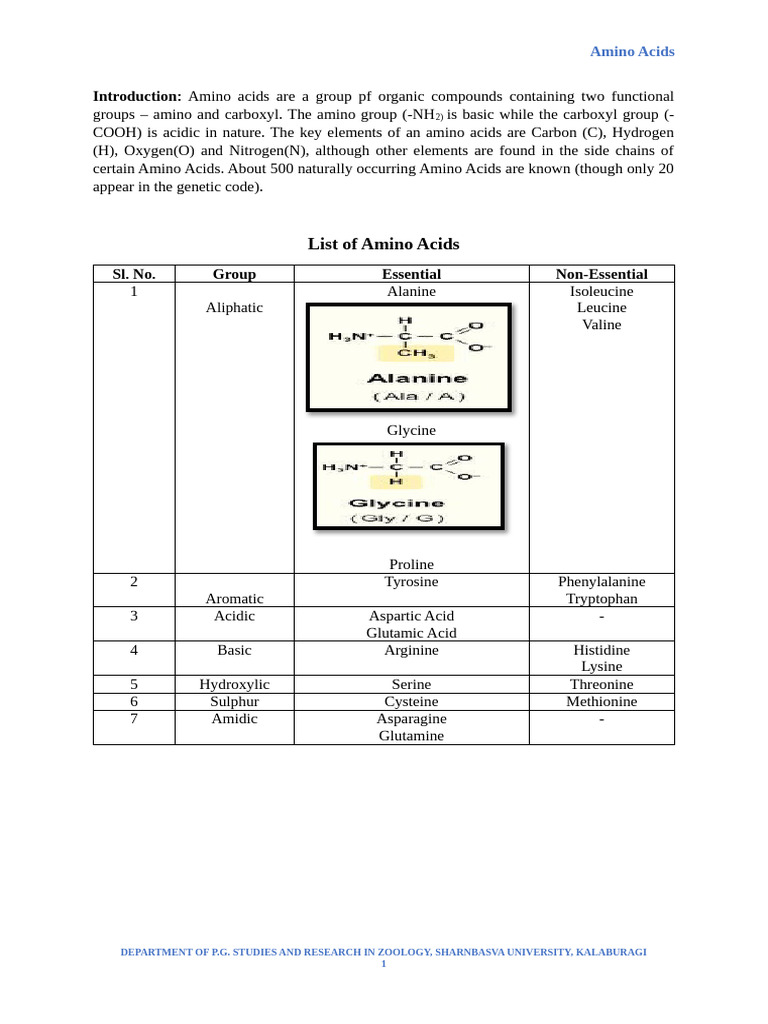 Amino Acids- Structure Classification & Functions | PDF