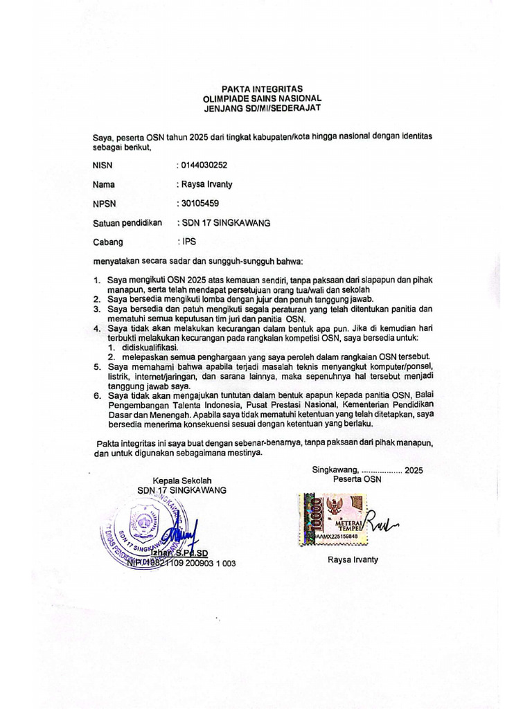 Raysa Compressed | PDF