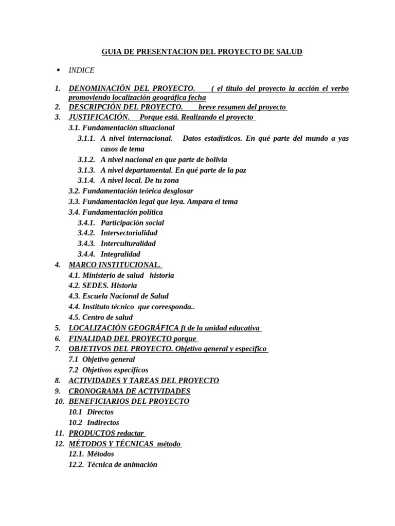 Guia de Presentacion Del Proyecto de Salud 2025 | PDF