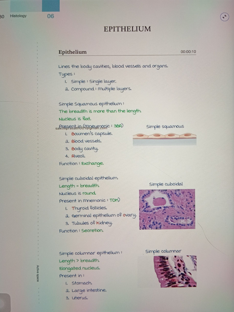 Histology | PDF