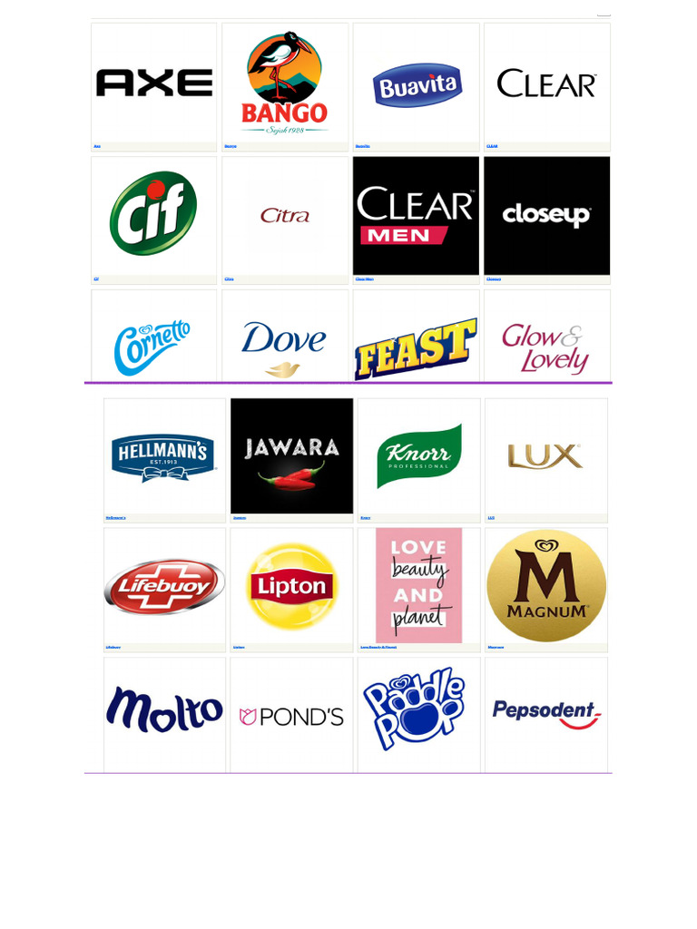 Unilever Product | PDF