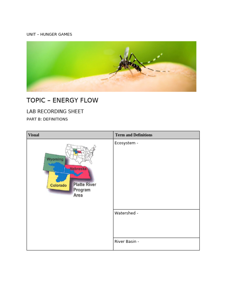 6.1C Lab Recording Sheet - Energy Flow | PDF | Predation | Herbivore