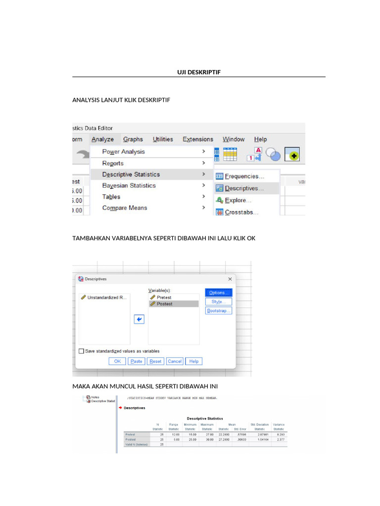 Panduan Uji Deskriptif SPSS 27 | PDF