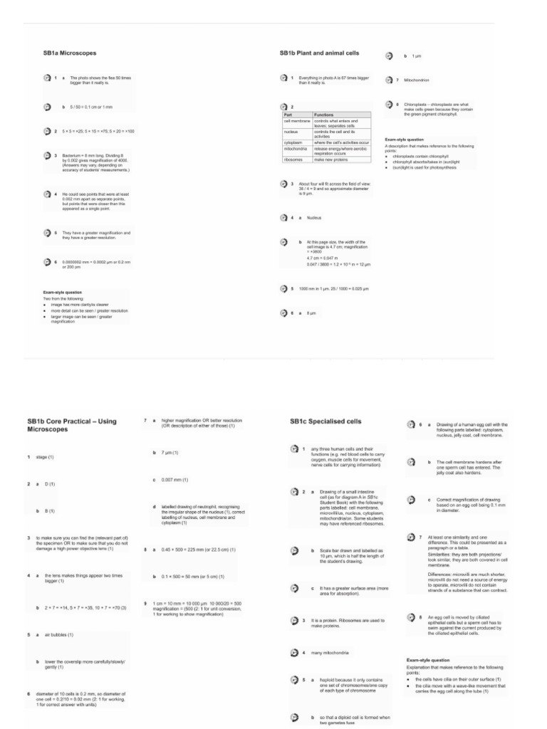 SB1 Textbook Answers | PDF