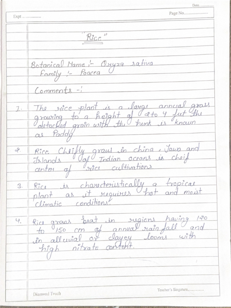 Scanned Document | PDF