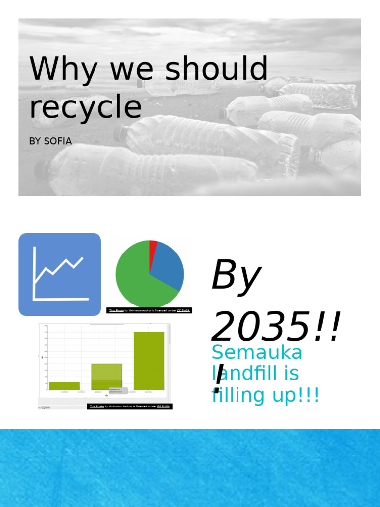Why We Should Recycle | PDF