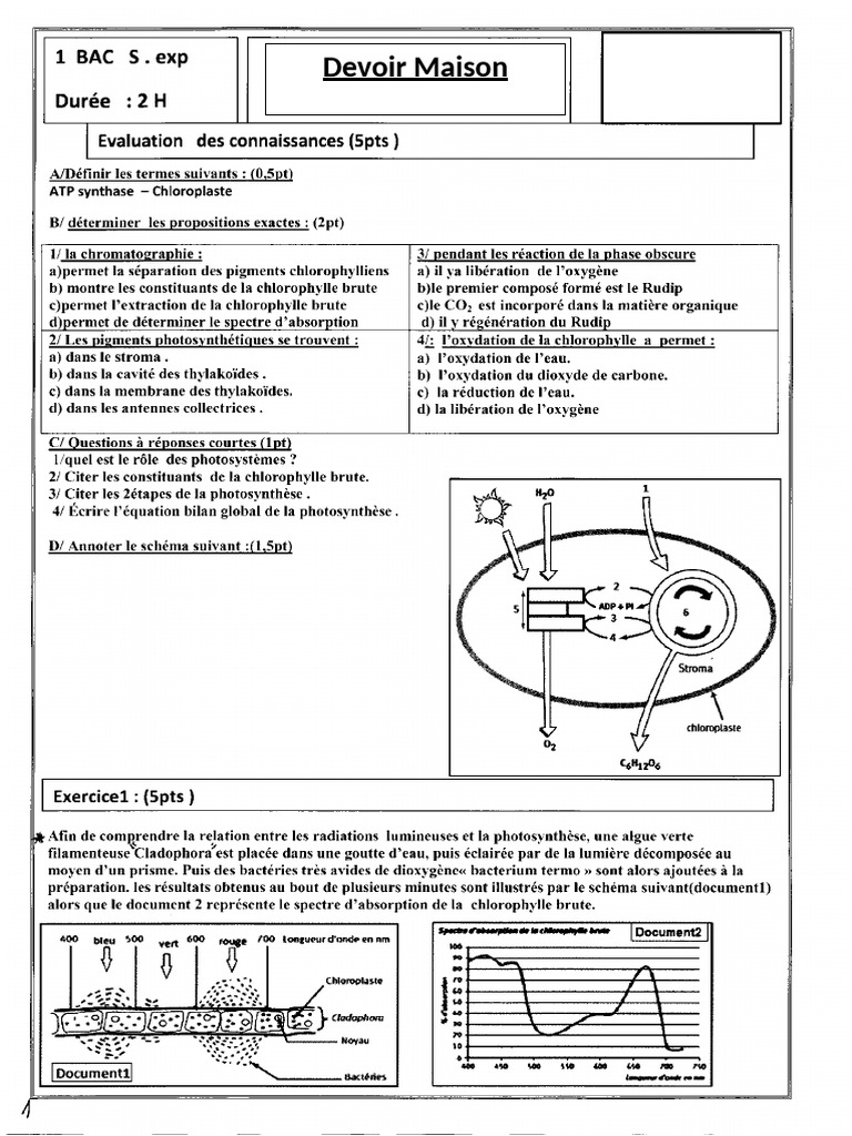 Devoir 3 Modele 2 SVT 1 Bac SC Ex Semestre 1 3 | PDF