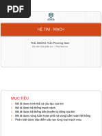 Giải Phẫu & Sinh Lý Hệ Tim Mạch | PDF