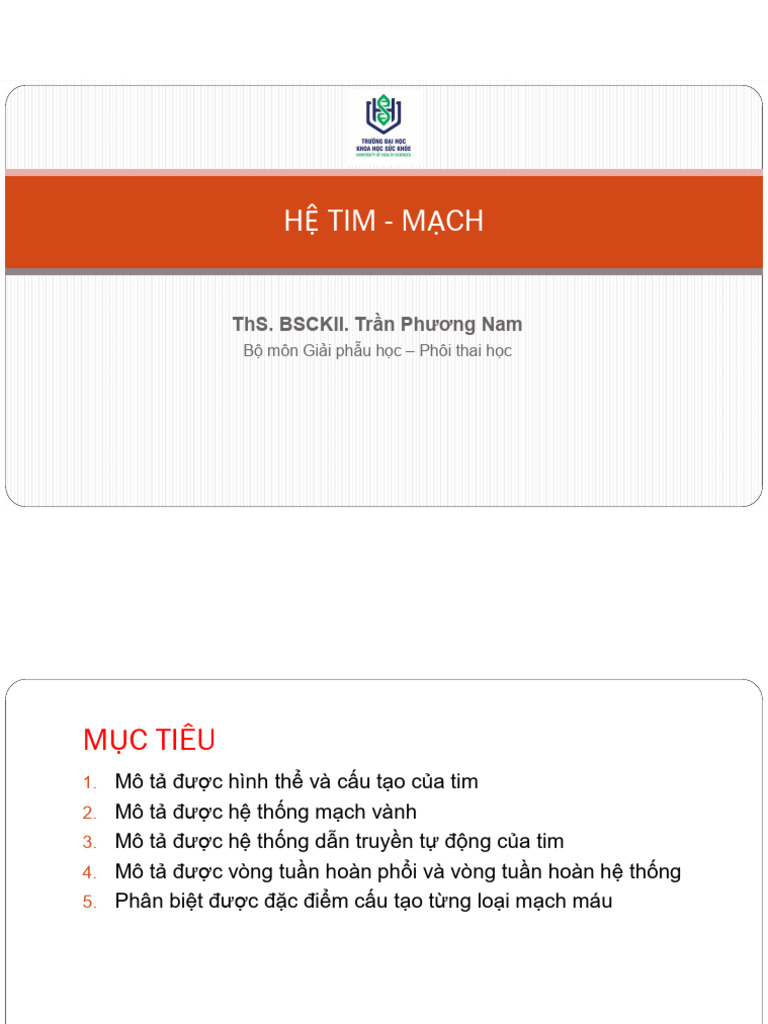 Tim Mach | PDF