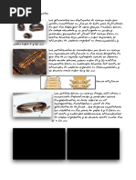 Principales Ordenes de Los Insectos | PDF | Insectos | Mosca