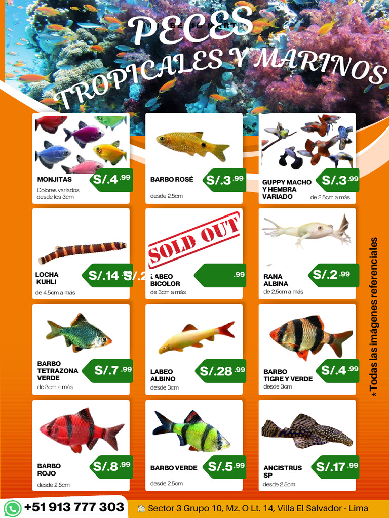 Venta de Peces Tropicales y Marinos | PDF | Animales acuáticos | Zoología